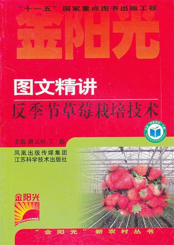图文精讲反季节草莓栽培技术