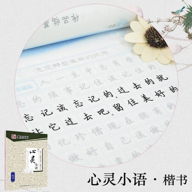 字帖练字成年练字帖大学生成人楷书行楷正楷荆霄鹏行书王正良男生女生字体漂亮大气高中钢笔硬笔书法神器墨点楷体手写临摹贴练字本 楷书-心灵小语