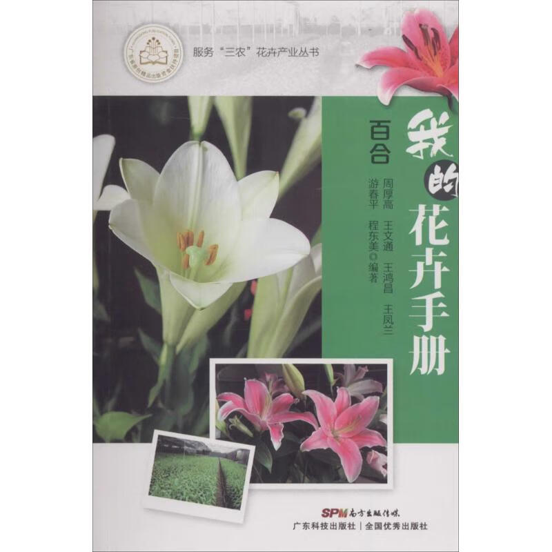 百合
