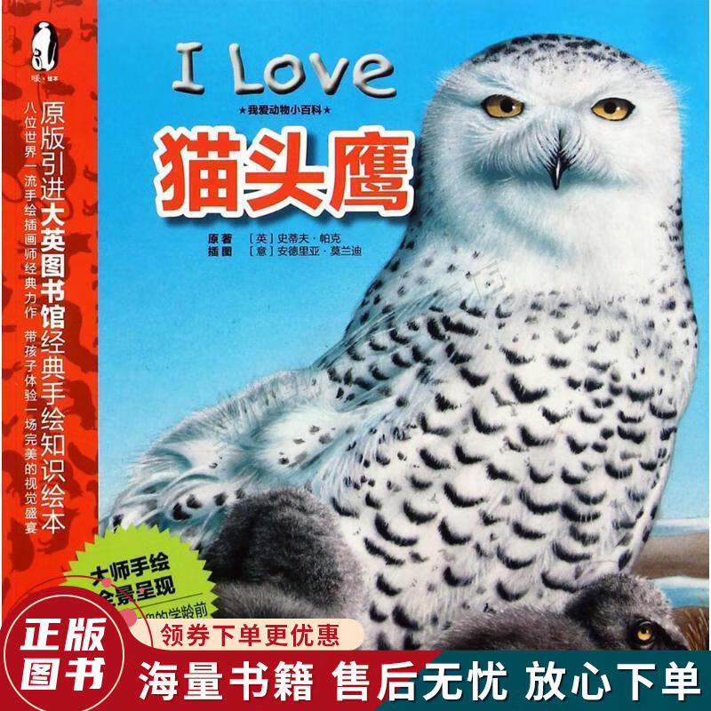 我爱动物小百科 猫头鹰