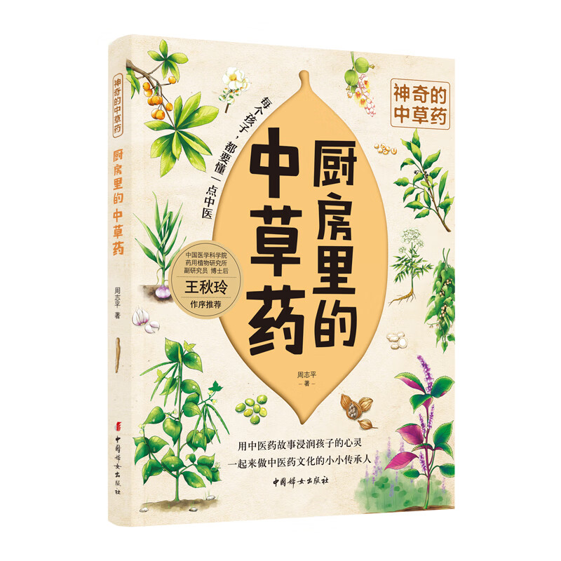 厨房里的中草药 周志平
