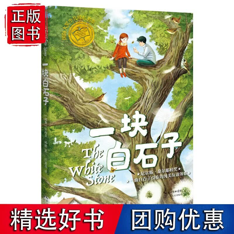 一块白石子（少儿成长书系）