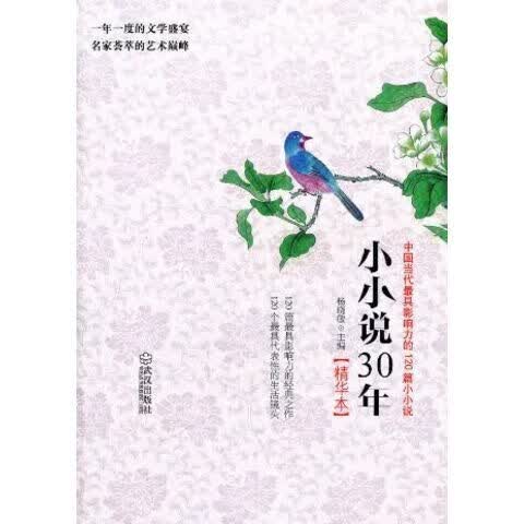 小小说30年精华本