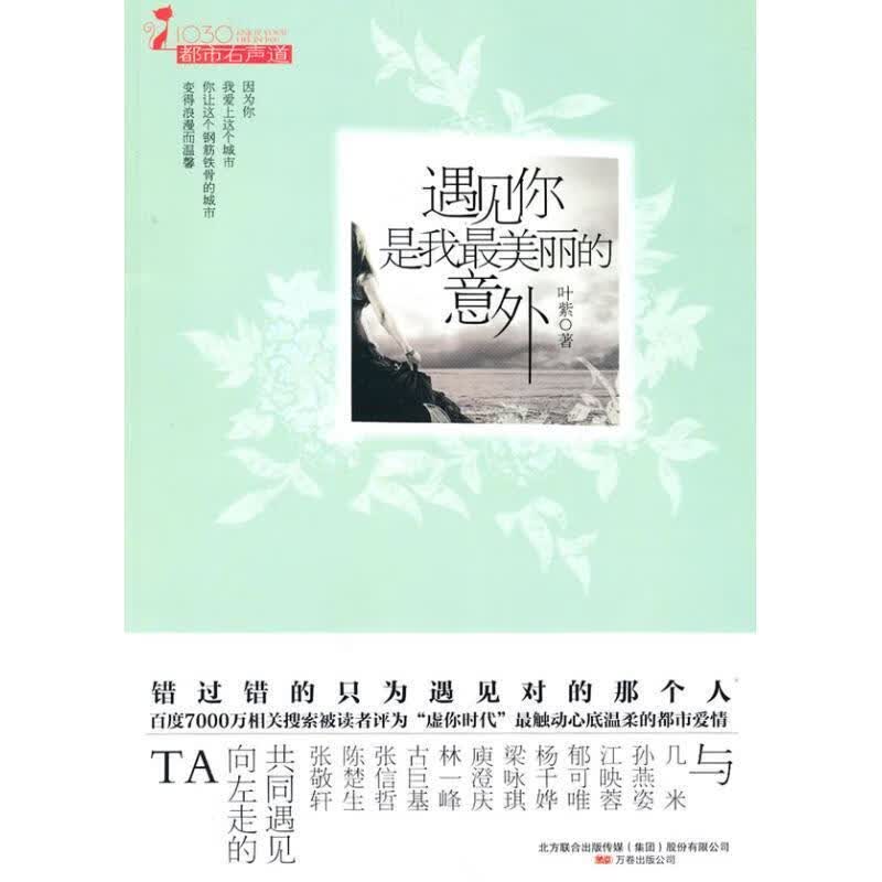 遇见你是我美丽的意外 叶紫 著【书】