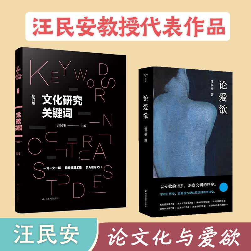 汪民安谈文化