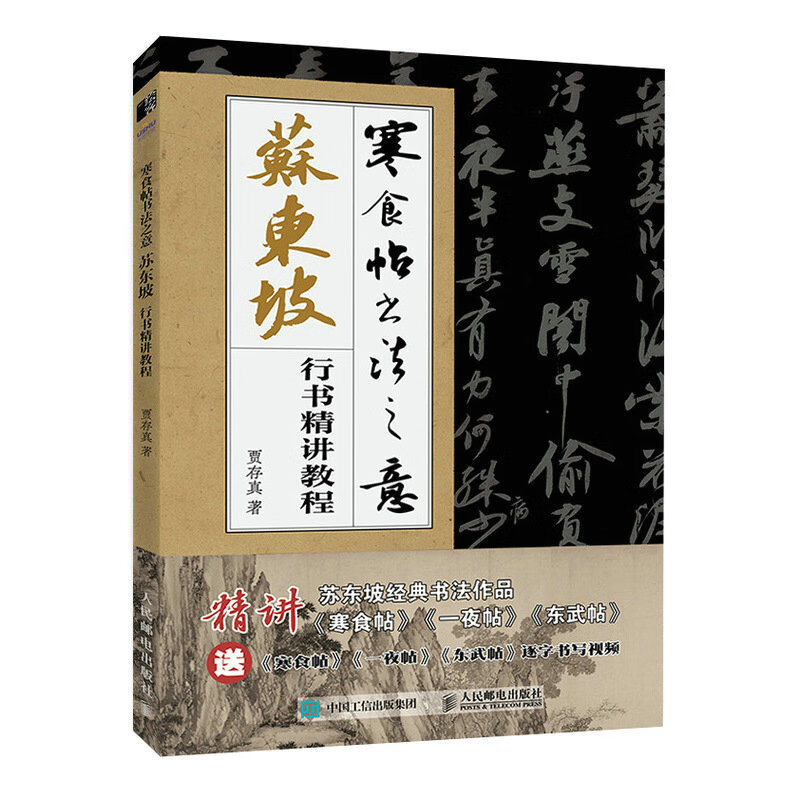 寒食帖书法之意 苏东坡行书精讲教程 图书