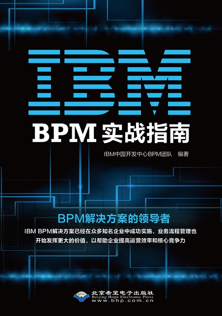 IBM BPM实战指南【精选】