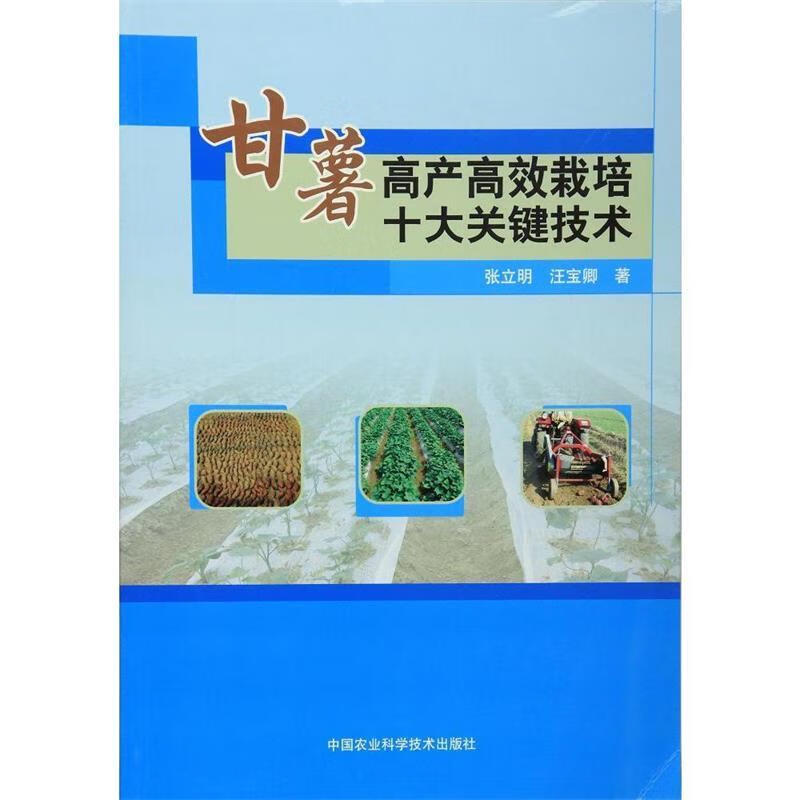 甘薯高产高效栽培十大关键技术 张立明,汪宝卿著 中国农业科学技术出版社 9787511624444