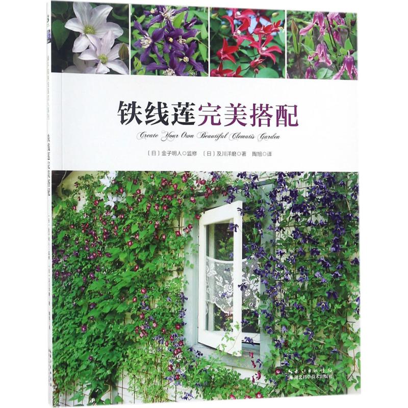 铁线莲完美搭配