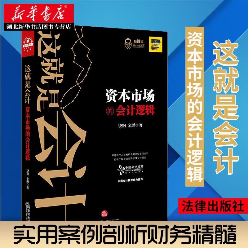 这就是会计：资本市场的会计逻辑 实用案例 精准剖析财务精髓 会计入门 法律出版社湖 北