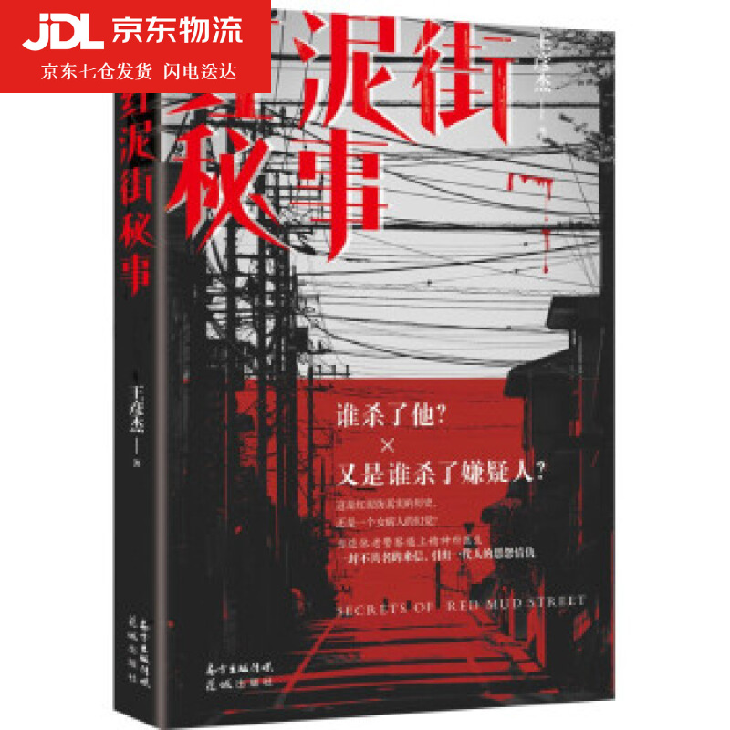 红泥街秘事 王彦杰 著 9787536091436