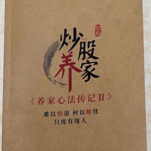 23位游资悟道心得 实战交割单游资实战买点解析悟道炒股养家达宋 养家心法1+2