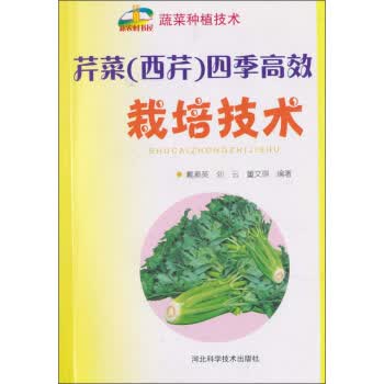 芹菜四季高效栽培技术