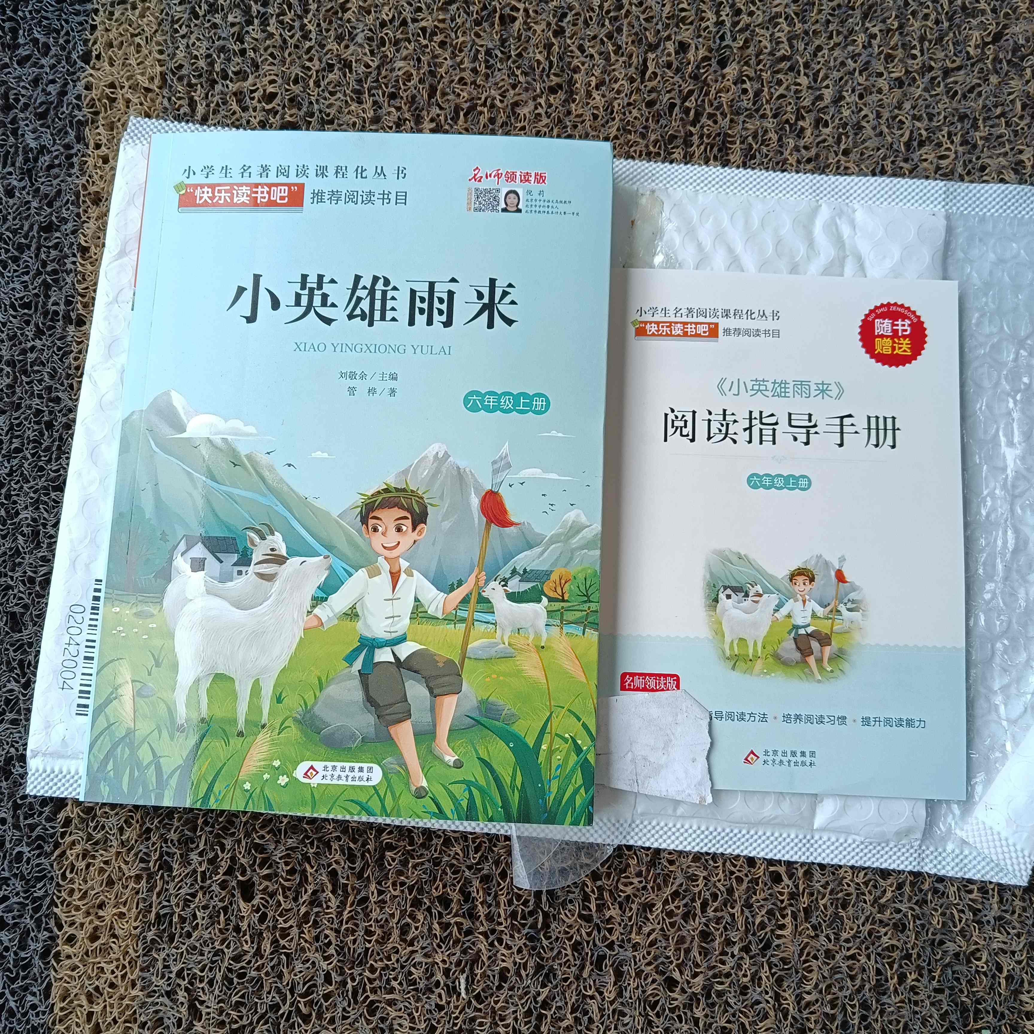 中国传说爱的安徒生童话中国民间稻草人单本全 小英雄雨来带阅读指导手册