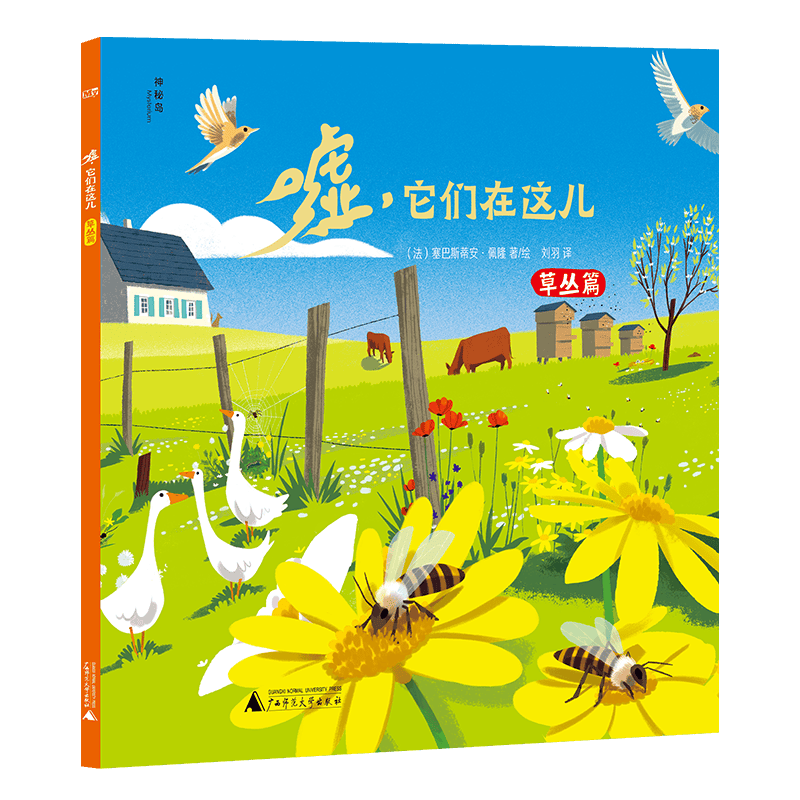 嘘，它们在这儿 草丛篇