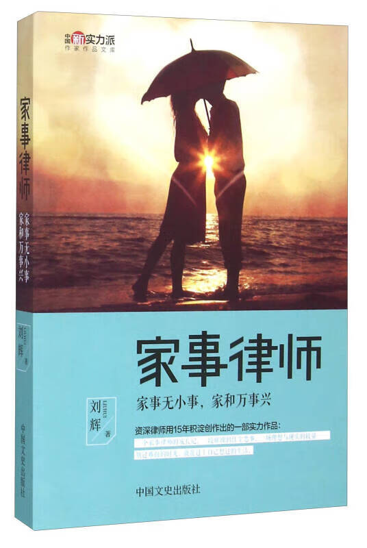 家事律师【好书】