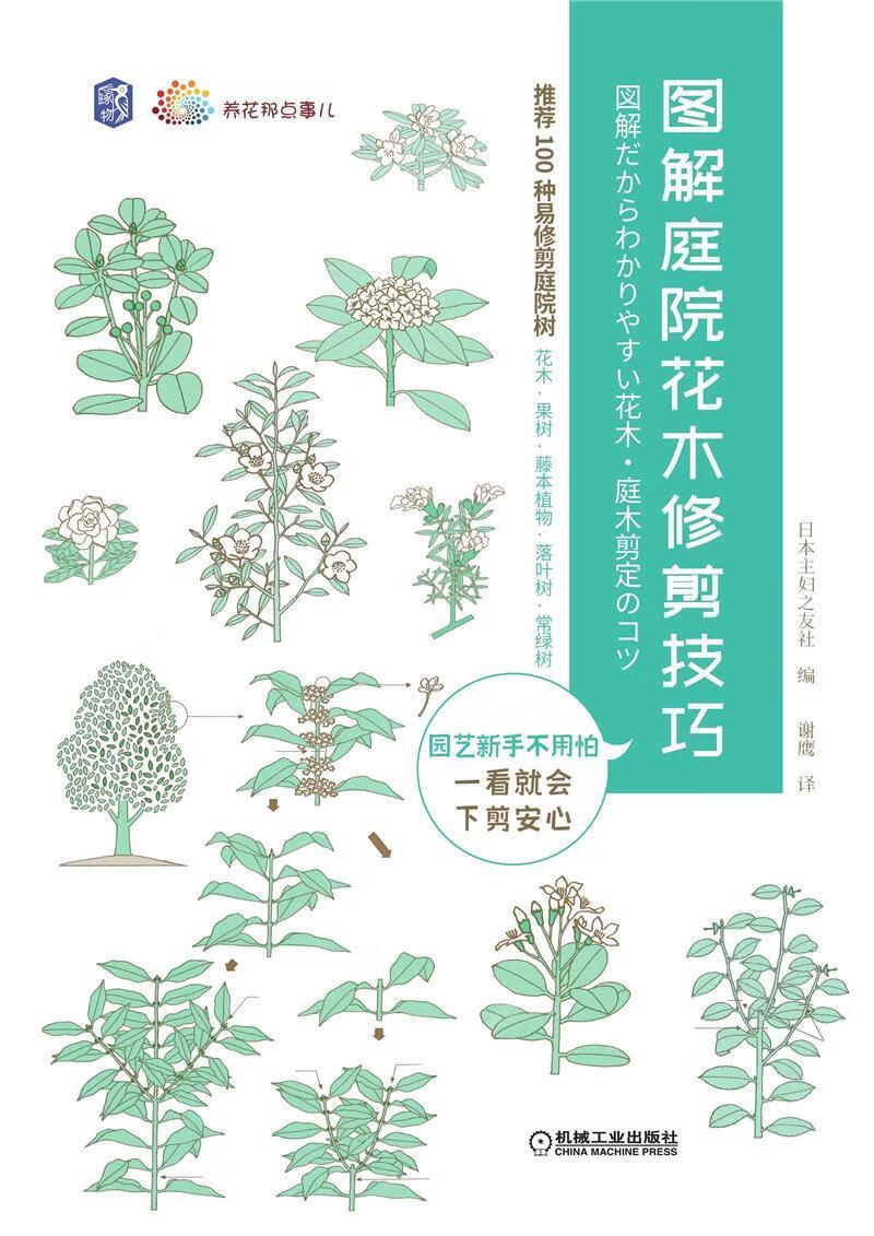 图解庭院花木修剪技巧日本妇之友社机械工业出版社9787111694267 家居书籍
