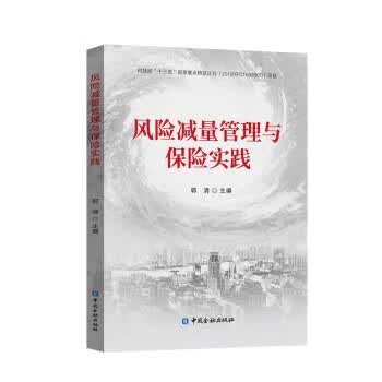风险减量管理与保险实践