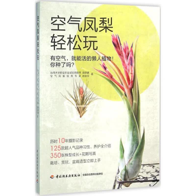 空气凤梨轻松玩【好书，下单速发】