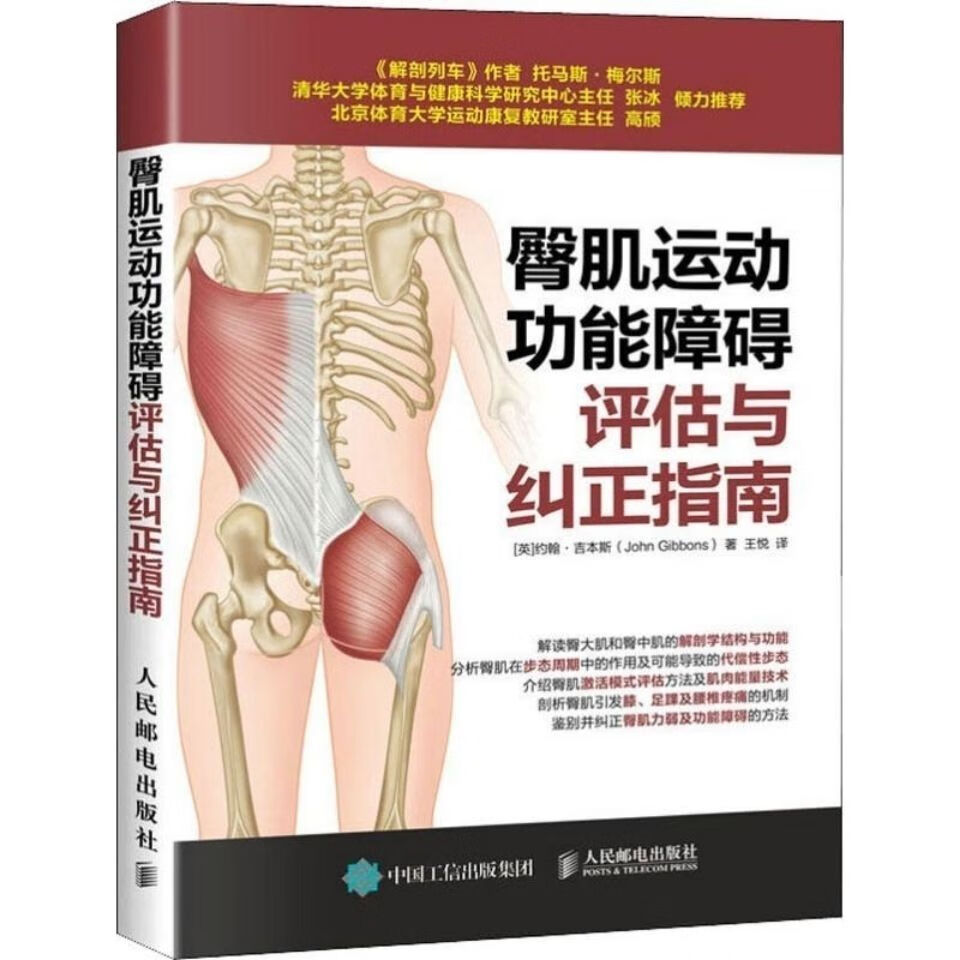 臀肌功能障碍评估与纠正指南 彩色