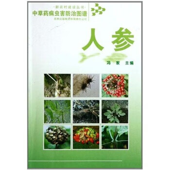 人参-中草药病虫害防治图谱 冯家 著【书】