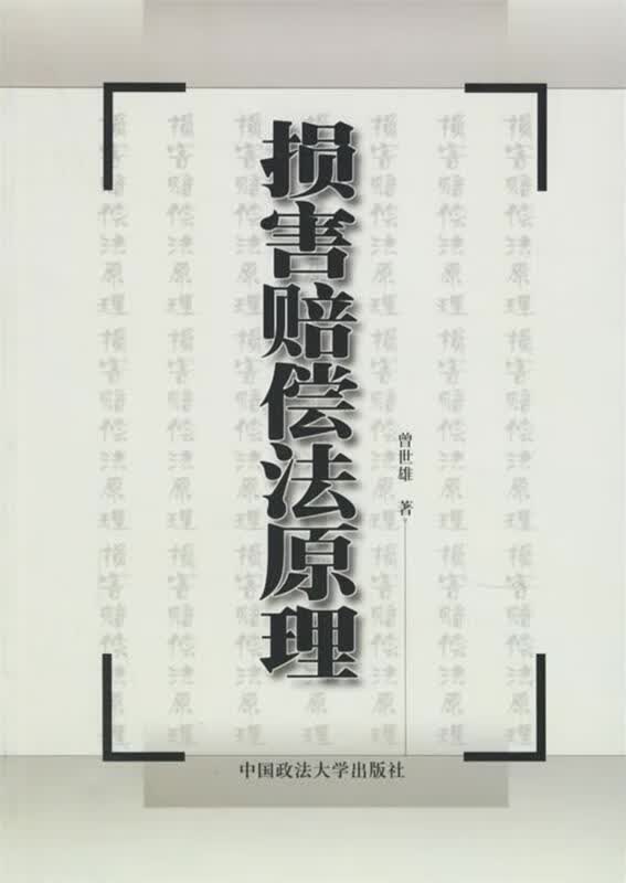损害赔偿法原理【好书，下单速发】