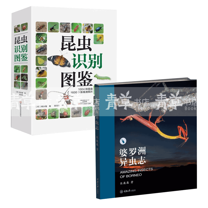婆罗洲异虫志 玩虫子: 从入门到疯狂，你只差这一本书+昆虫识别图鉴 书籍
