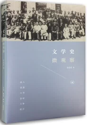 文学史微观察 李洁非 文学 9787108048622