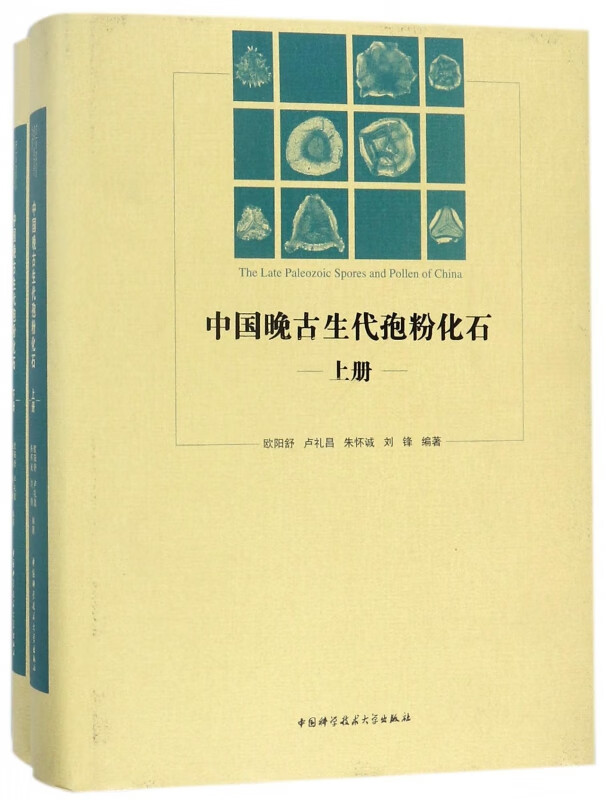 中国晚古生代孢粉化石(上下)(精)