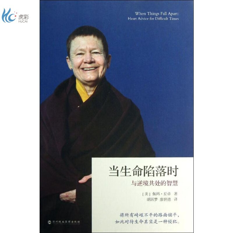 当生命陷落时 与逆境共处的智慧