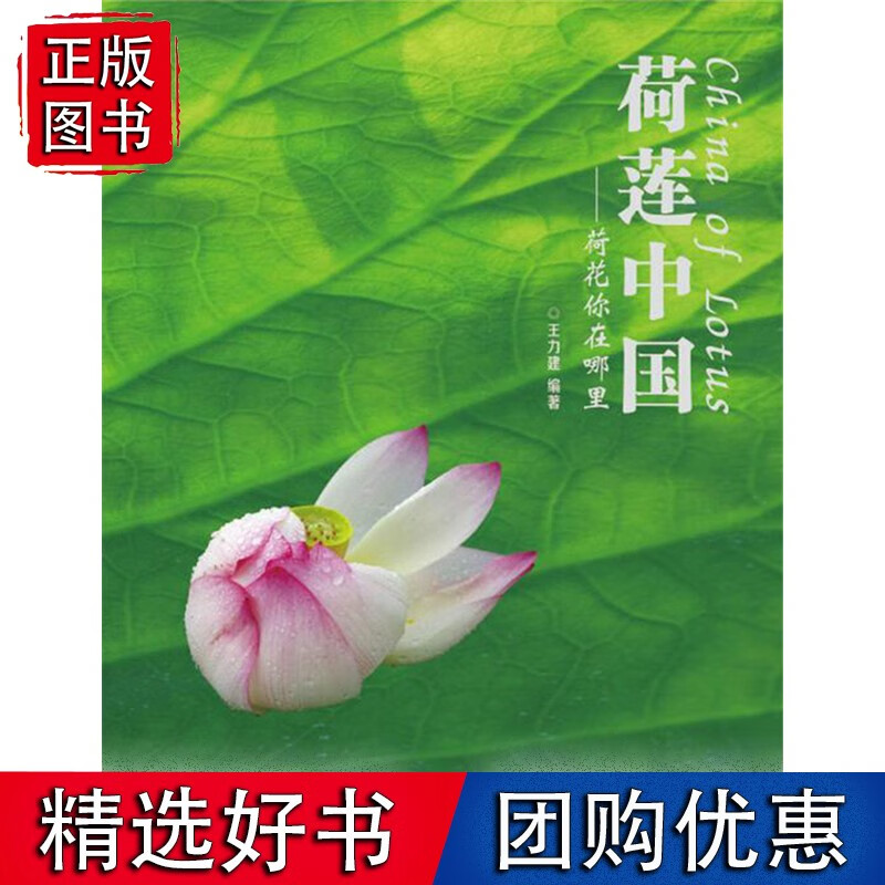 荷莲中国：荷花你在哪里