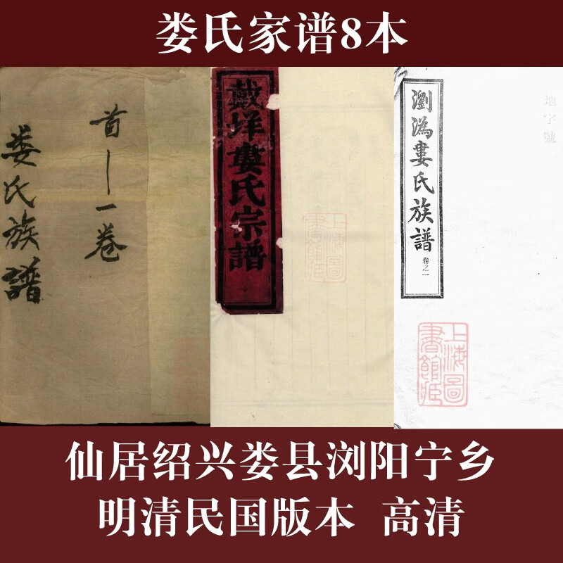 娄氏家谱8本路家族谱娄氏宗谱娄氏家乘民俗话旧
