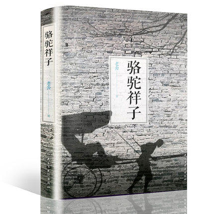 骆驼祥子老舍民主与建设出版社老舍原著好书分享 图书 无规格