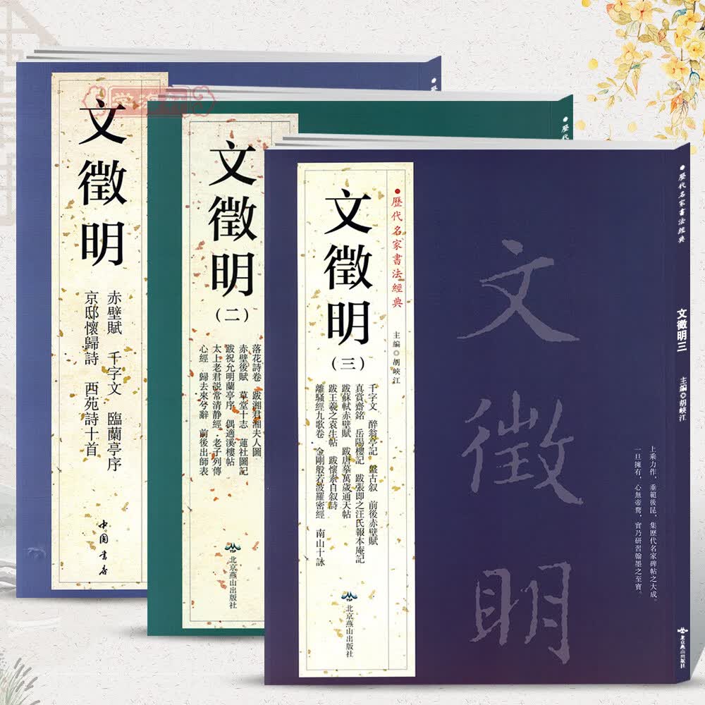 全3册 文征明书法 小楷行书字帖超清千字文心经临兰亭序草堂十志前后赤壁赋 练字成年男大学生初学者毛笔