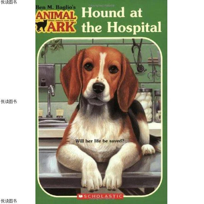 HoundattheHospital动物方舟系列：医院里的猎犬
