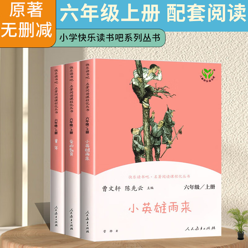 快乐读书吧六年级上册必读课外书全套小英雄雨来童年爱的教育 套装3本 人教版