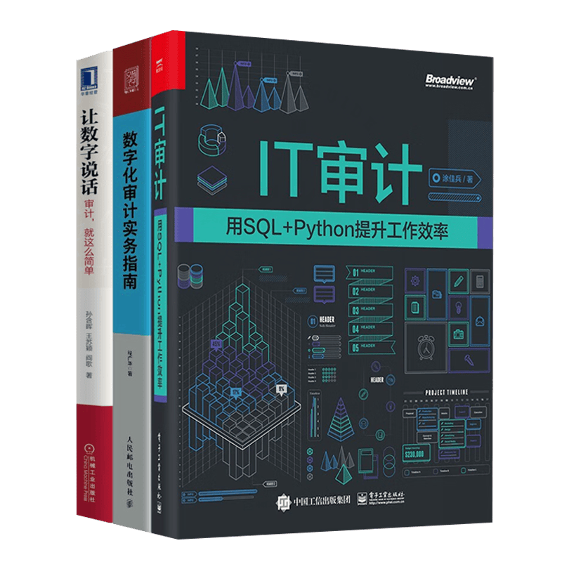 【套装3册】IT审计：用SQL+Python提升工作效率+让数字说话：审计，就这么简单+数字化审计实务指南