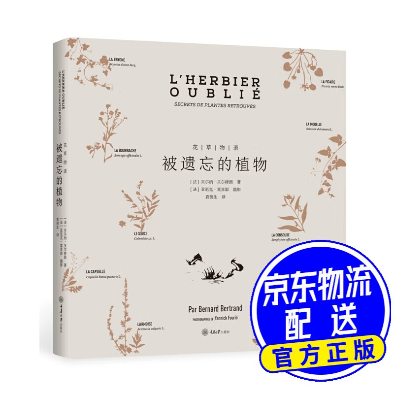花草物语：被遗忘的植物