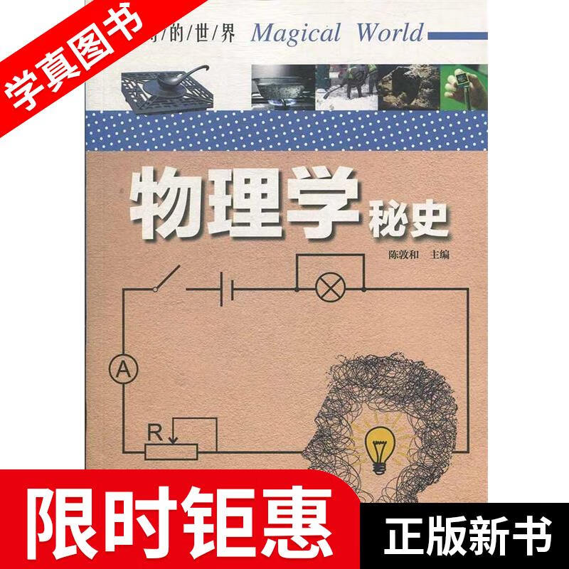 神奇的世界—物理学秘史 陈敦和 著 上海科学技术文献出版社
