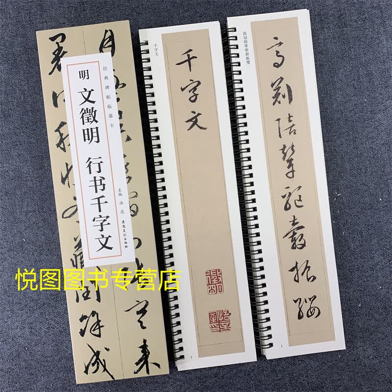 全2本明文徵明行书千字文 经典碑帖近距离临摹字卡洪亮主编附简体旁注文征明行书千字文毛笔字帖书法成人学生临摹范本安徽美术出版