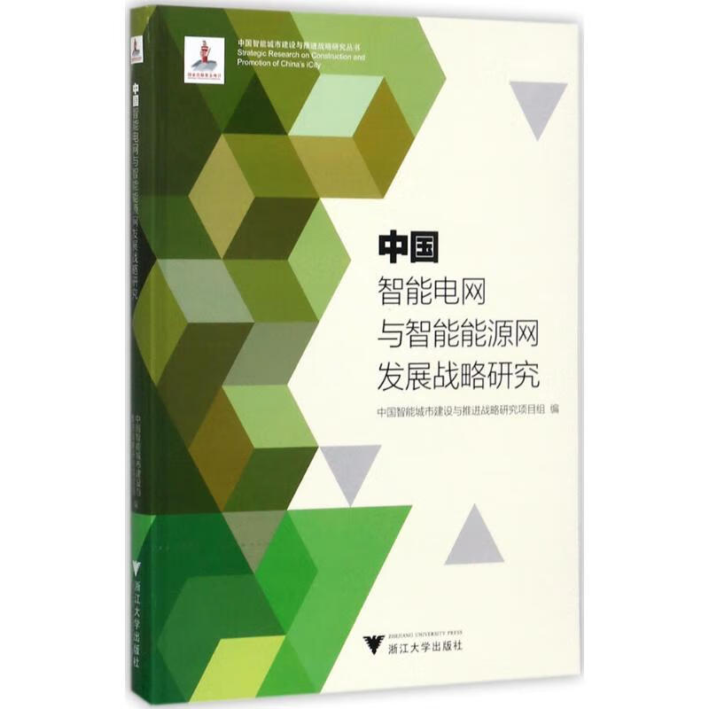 中国智能电网与智能能源网发展战略研究