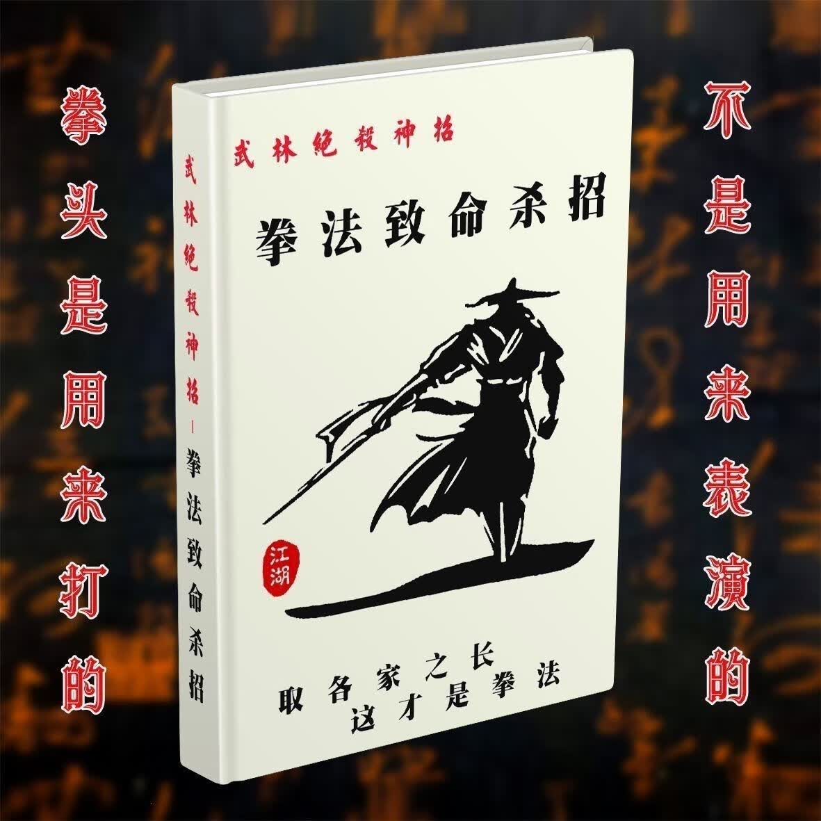拳法致命杀招武林绝杀长拳 腿法 短拳 南拳象形拳 二指禅入门