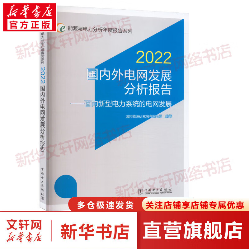 国内外电网发展分析报告 2022——面向新型电力系统的电网发展 图书