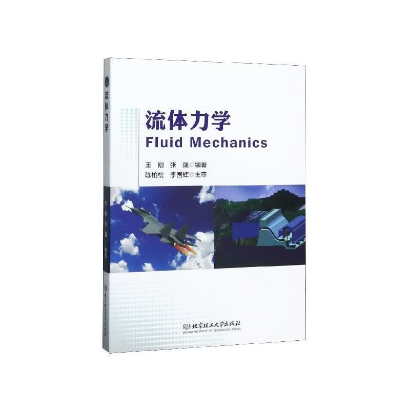 流体力学 王刚,张强 著