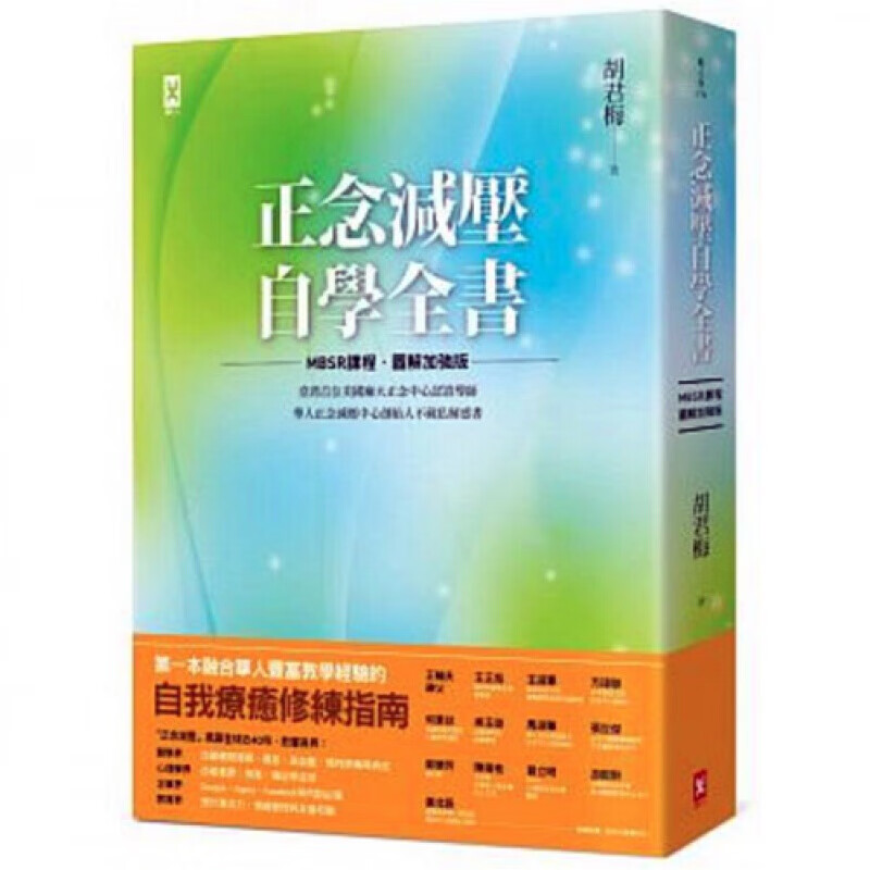 台版 正念减压自学全（MBSR课程 图解加强版）8周MBSR课程25个正念练习94
