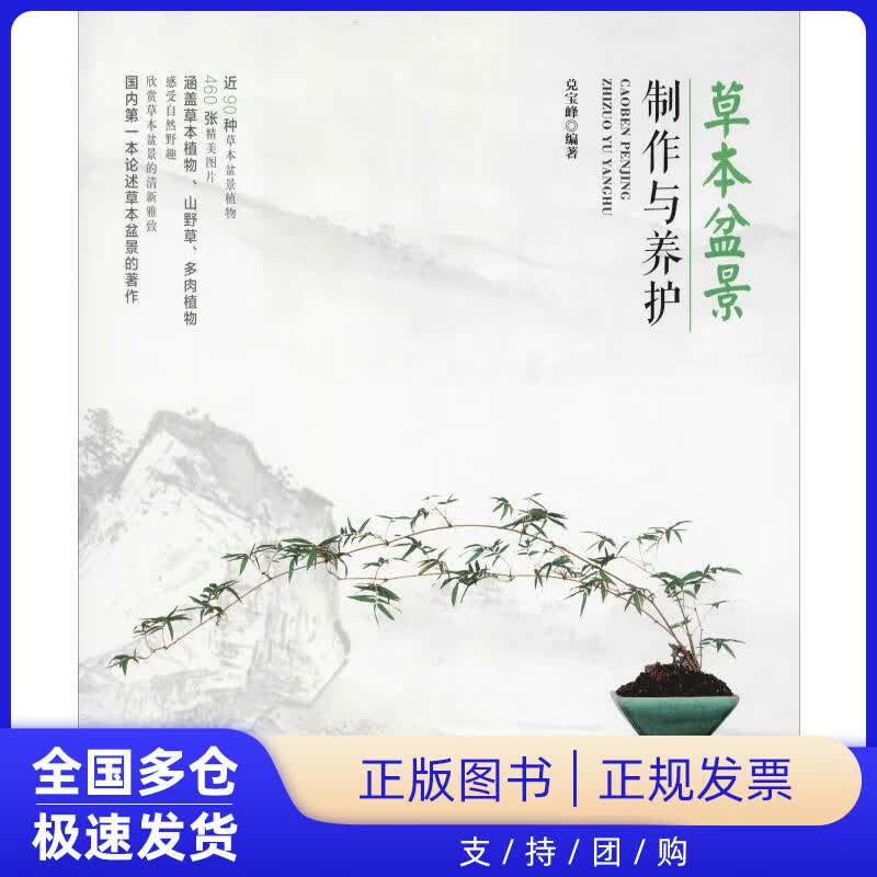 草本盆景制作与养护兑宝峰