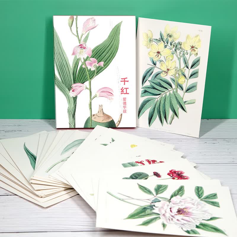 临摹卡《千红》水彩大师爱德华兹绘 32张名家花卉水彩画册集艺术明信片小卡片手绘插画简约小清新文艺日系复