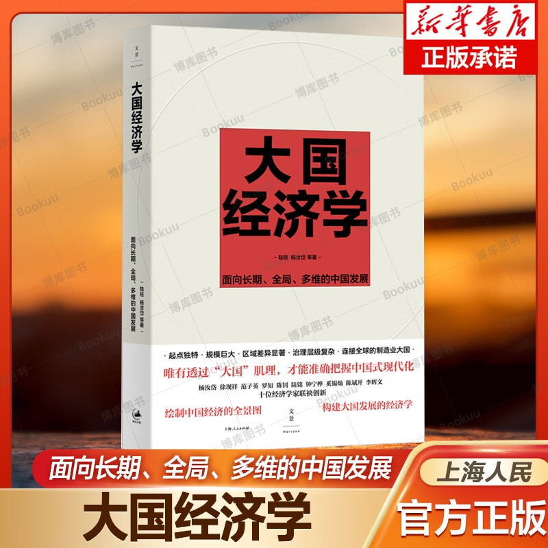 大国经济学 : 面向长期、全局、多维的中国发展 单册