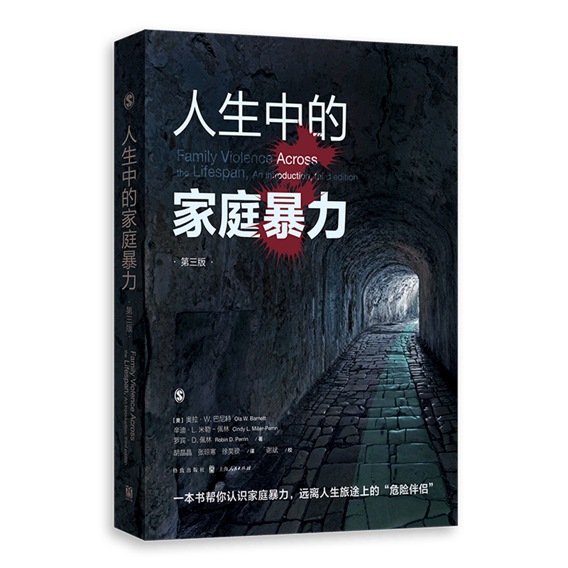 人生中的家庭暴力(第3版)