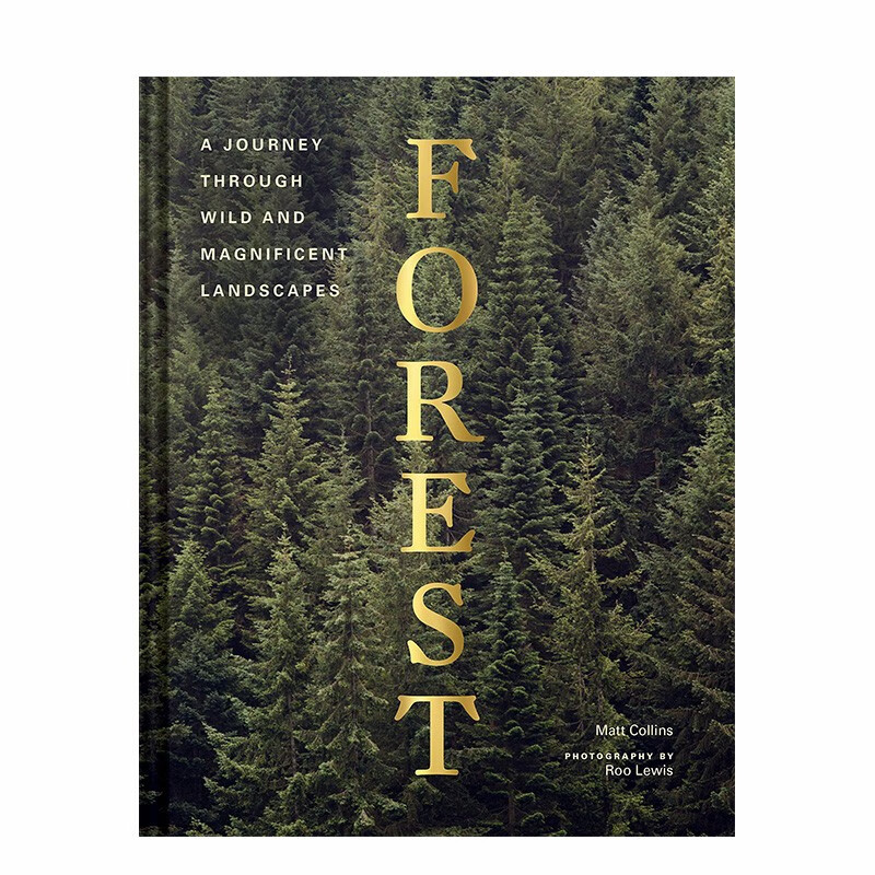 Forest 森林 树木自然摄影集 户外风光照相拍摄 英文原版善本图书